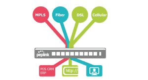 Peplink 產品介紹 | 瀚錸科技-NetBridge